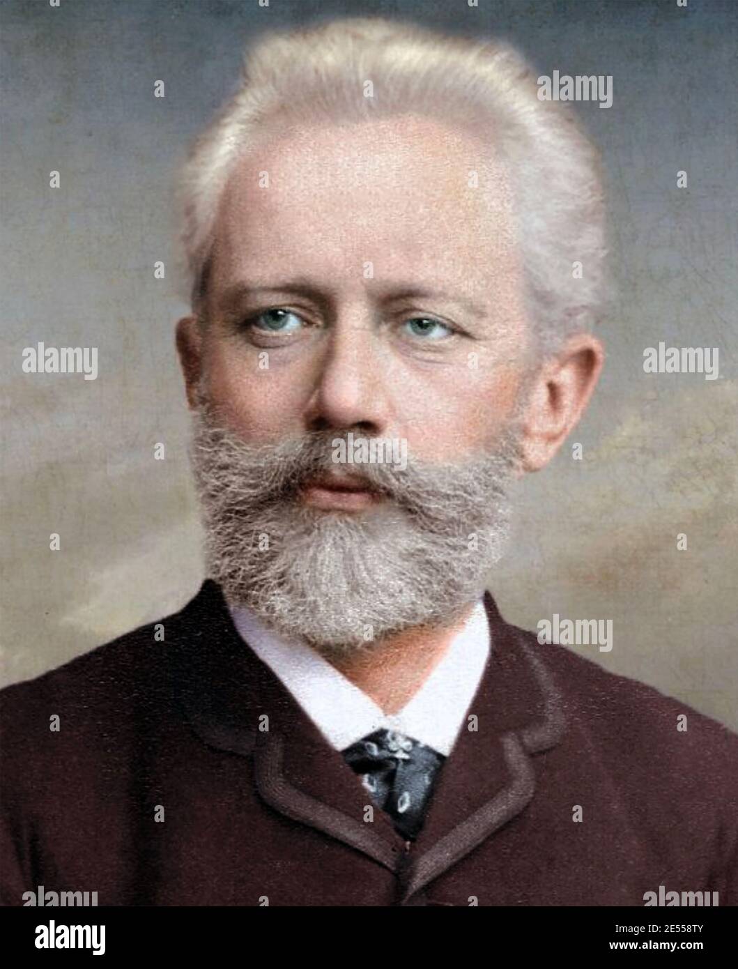 PYOTR TCHAIKOVSKY (1840-1893) Russian Romantic composer about 1880 ...