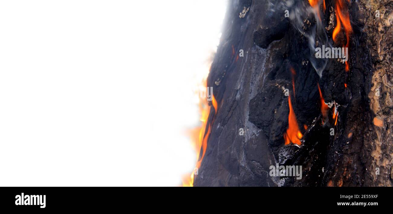 Closeup view of a piece of wood partially turned into ashes and ...