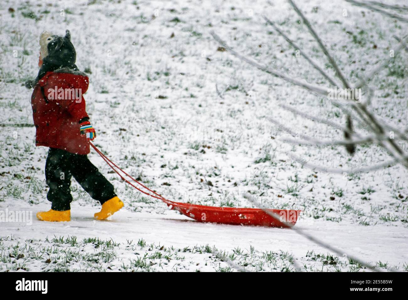 A child dressed in bright colors dragging a sled sledge sleigh in the ...