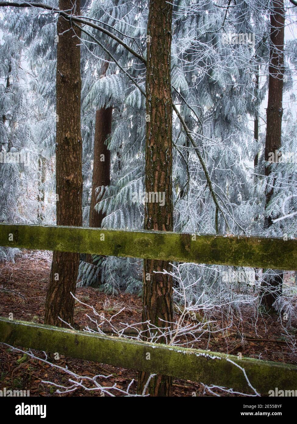 Wooden fencing uk winter hi-res stock photography and images - Alamy