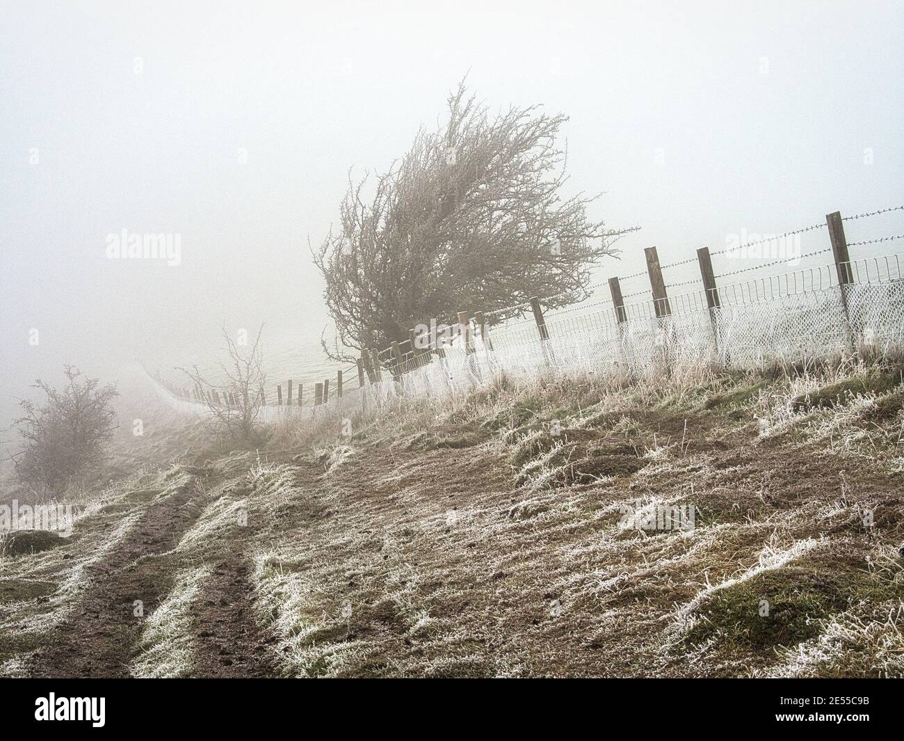 Winter landscapes in Southern England UK Frosty, snowy country fields ...