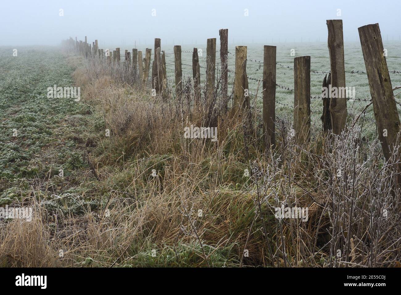 Winter scenes in English courtside Stock Photo - Alamy