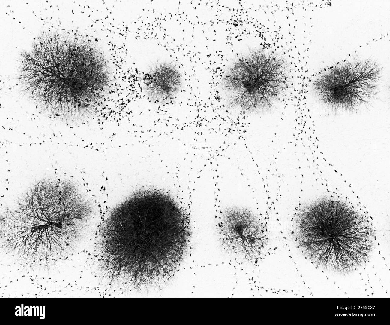 Track aerial not train not car Cut Out Stock Images & Pictures - Alamy