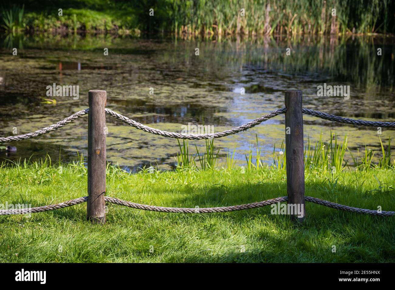 Small pond behind a fence in a p Stock Photo - Alamy