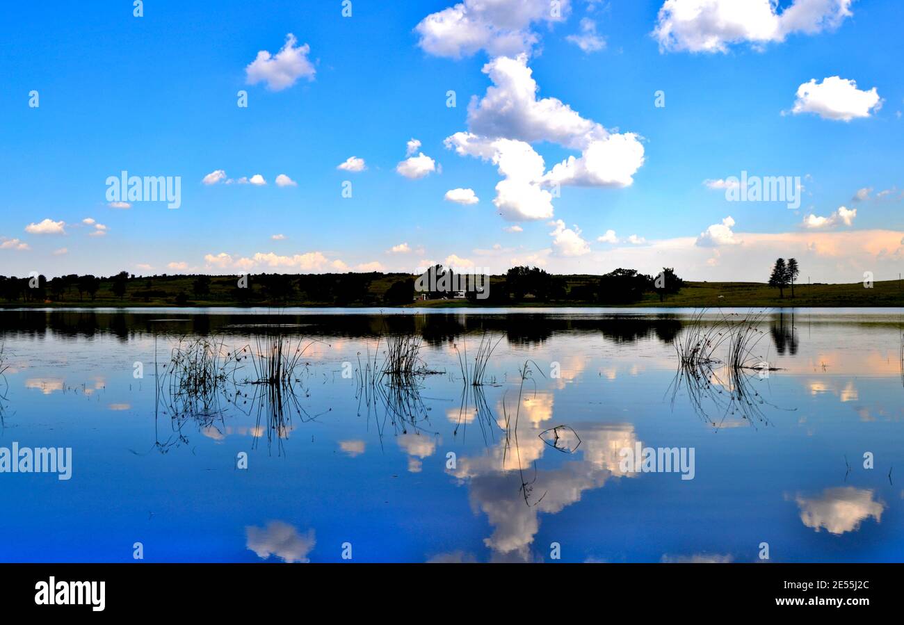 Perfect water reflection still grass lake hi-res stock photography and ...