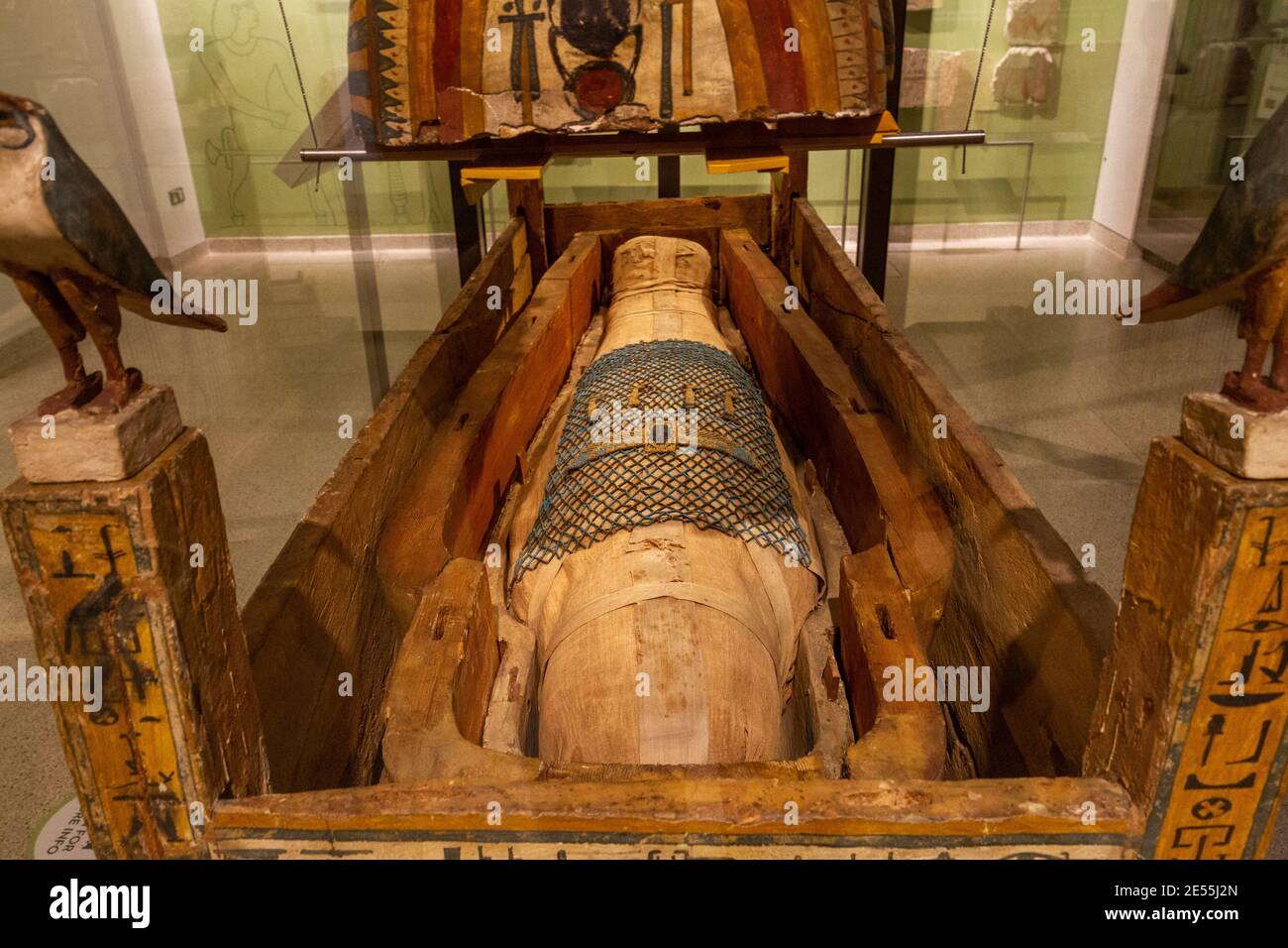 Djeddjehutyiuefankh's Mummy inside one burial coffin, from the Great ...