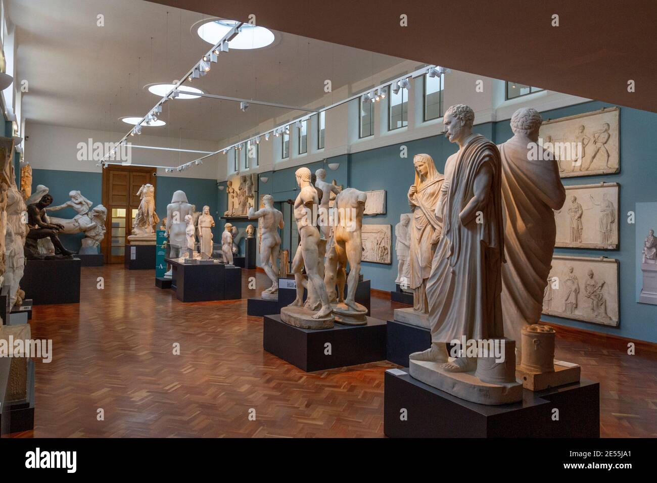 General view of Greek and Roman statues in the Ashmolean Museum, the ... General view of Greek and Roman statues in the Ashmolean Museum, the ...