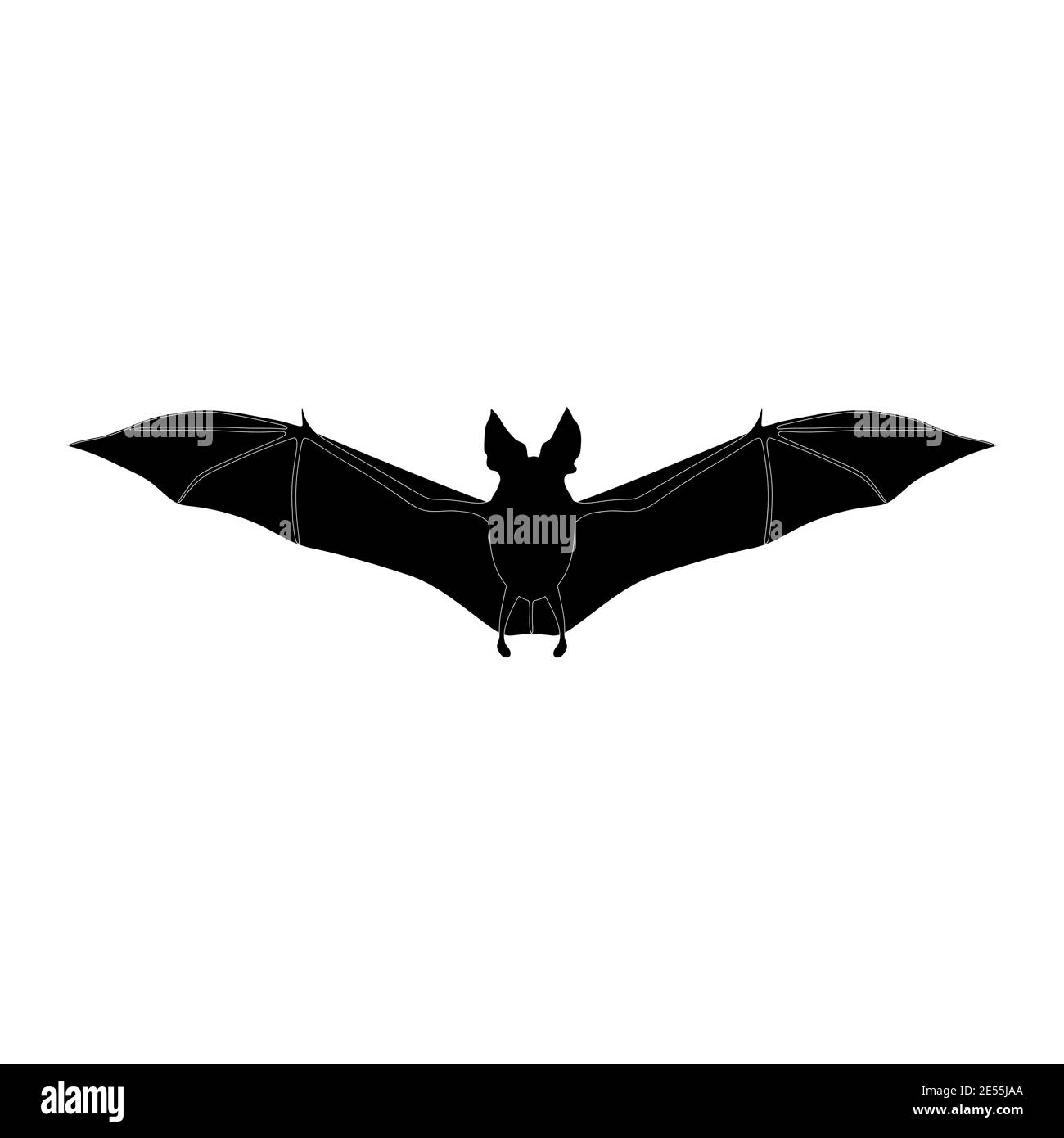 Bat isolated Stock Vector Images - Alamy