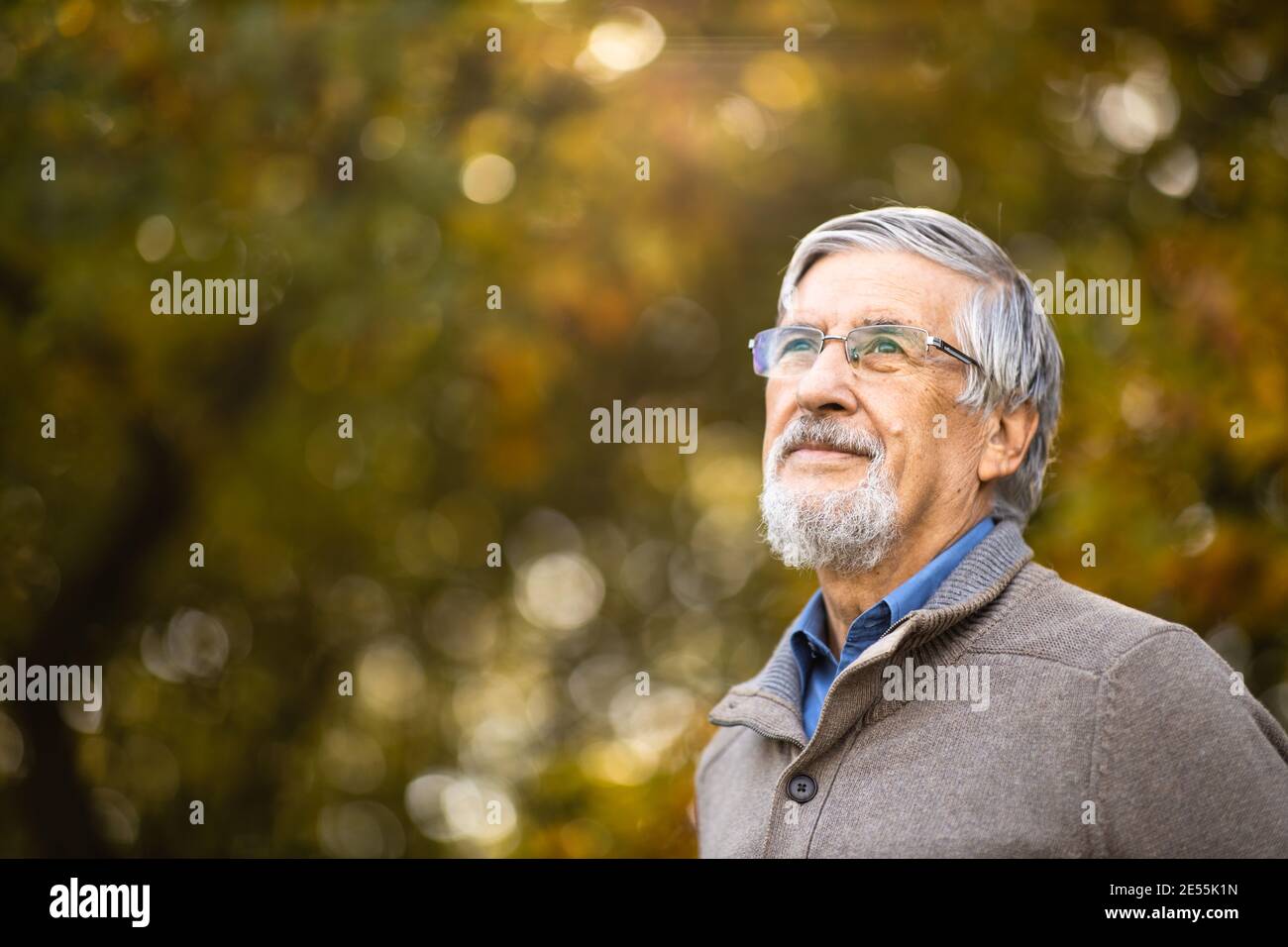 Portrait of a senior man outdoors, optimism, good health, happyness ...