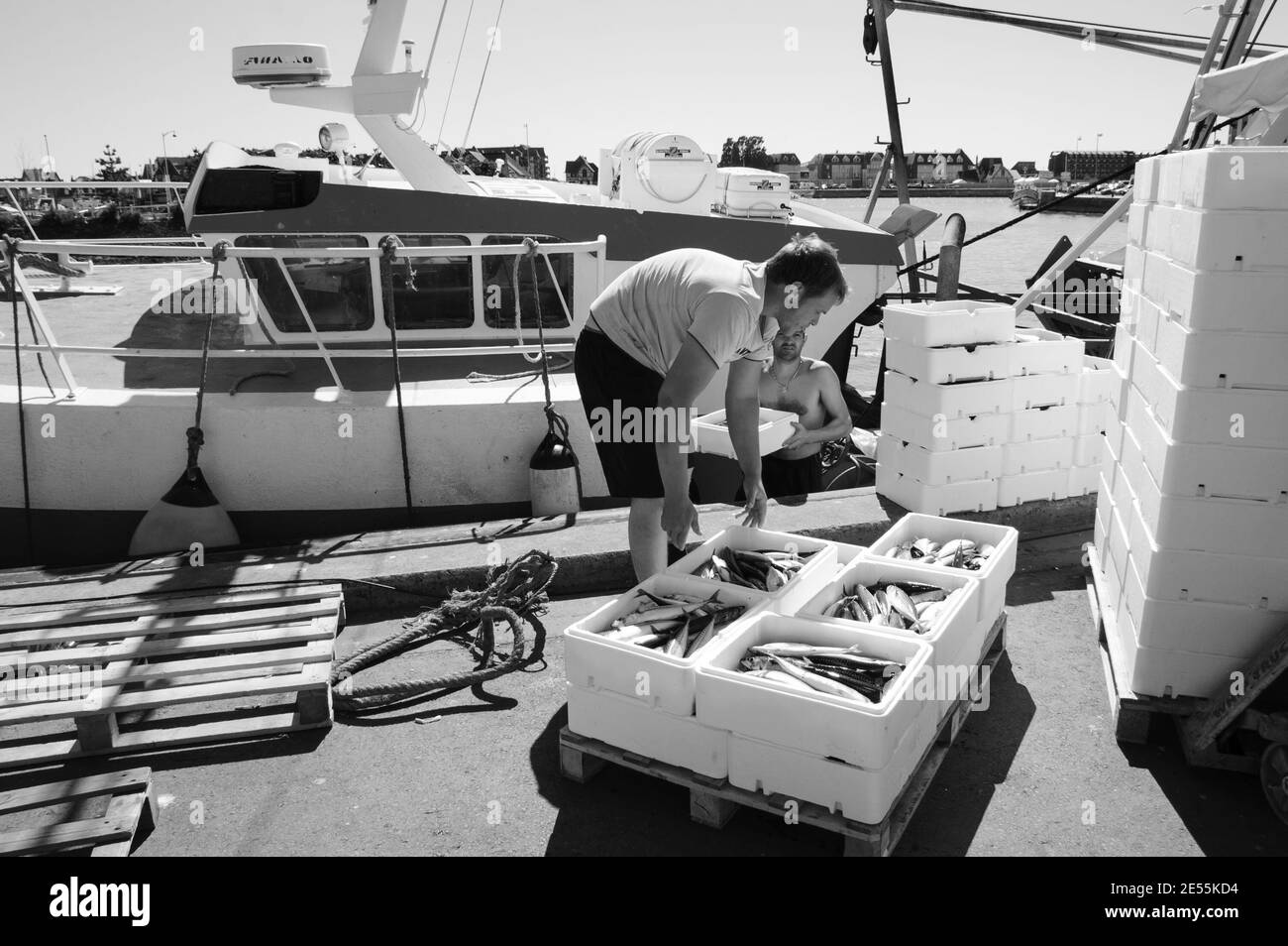 Raw fresh seafood shrimps Black and White Stock Photos & Images - Alamy