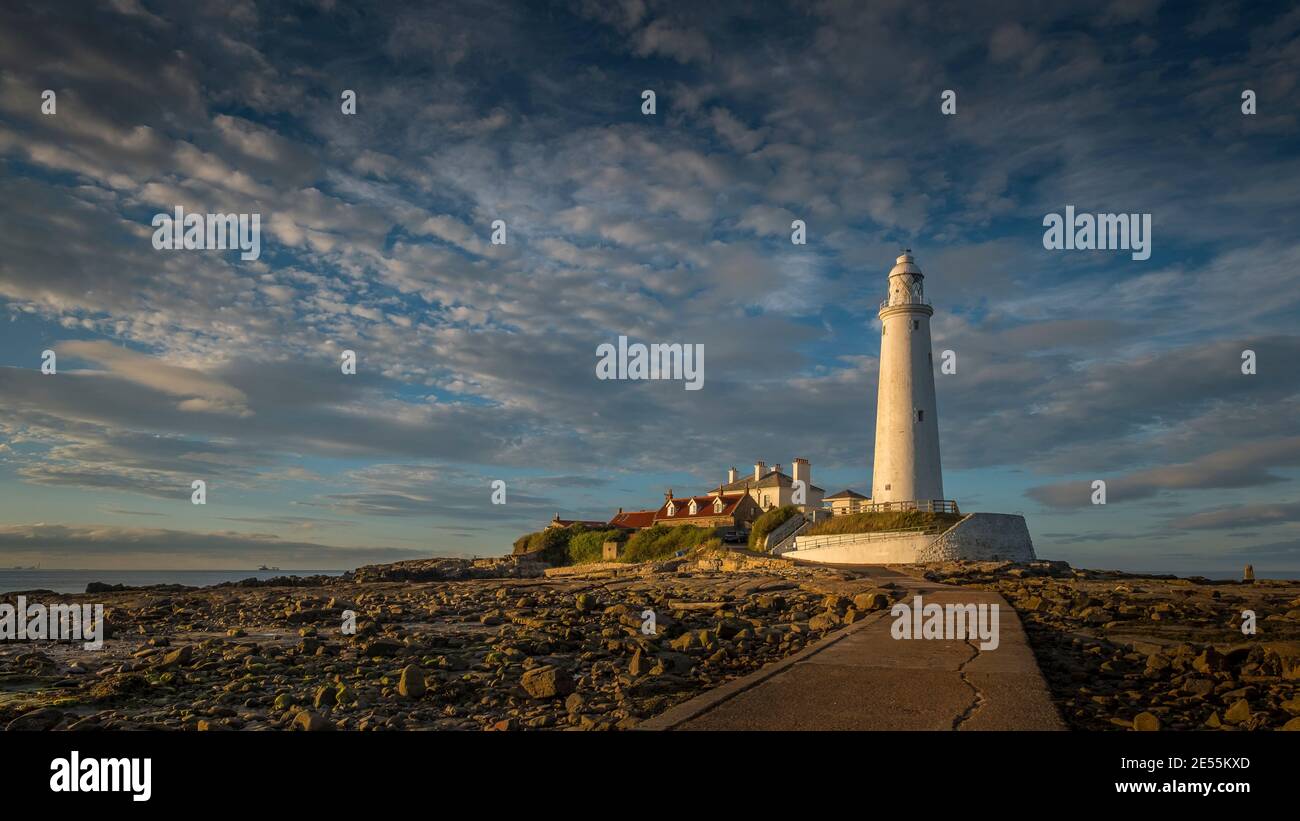 St marys lighthouse hi-res stock photography and images - Alamy