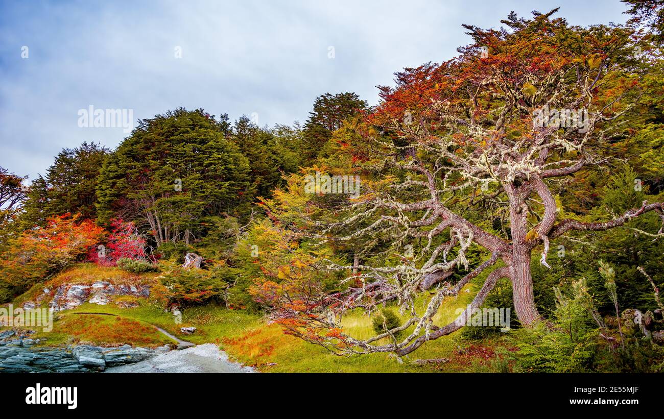 Ensenada Bay Argentina High Resolution Stock Photography and Images - Alamy