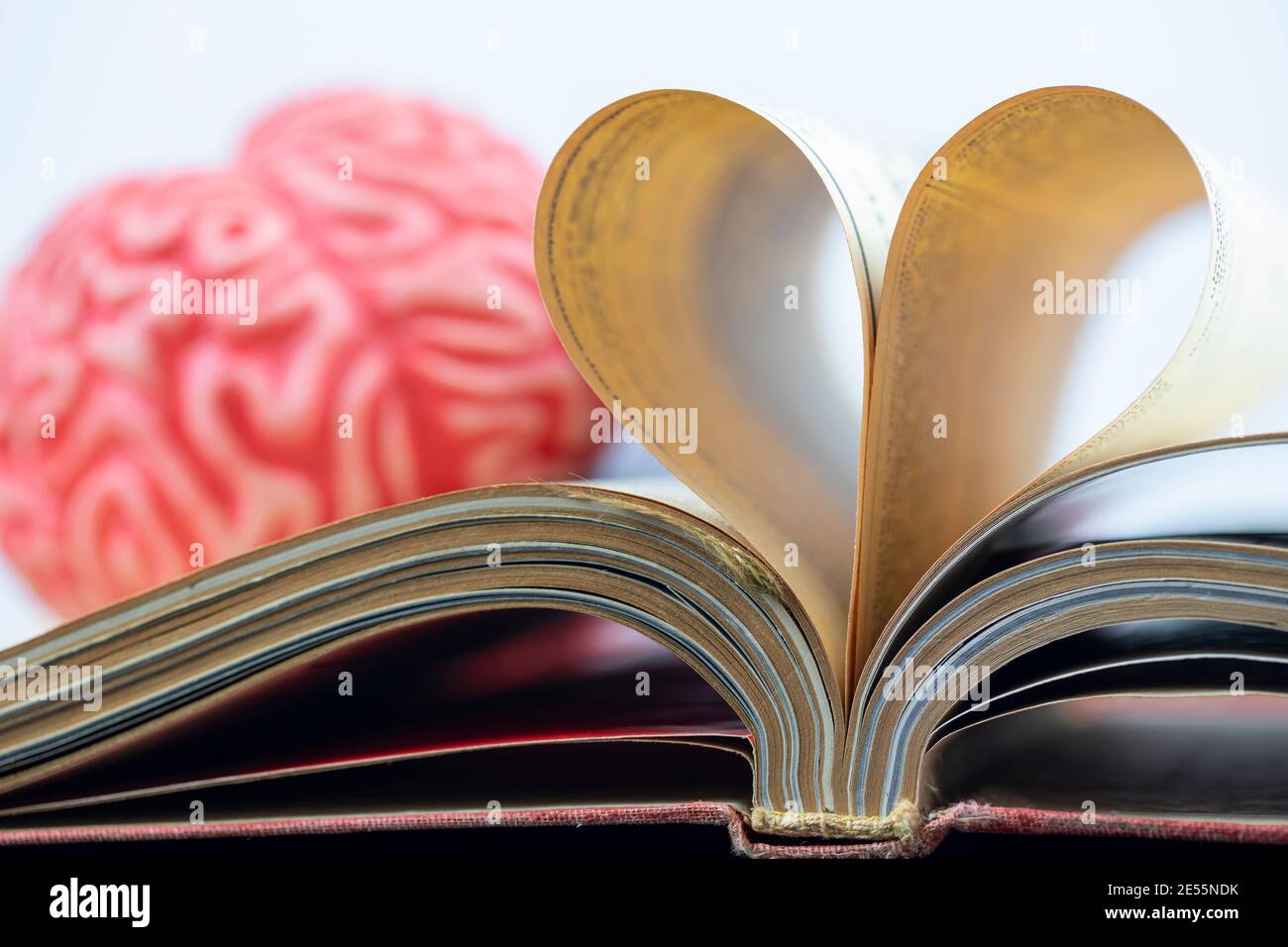 Love to read or learn language concept, brain and book pages folded ...
