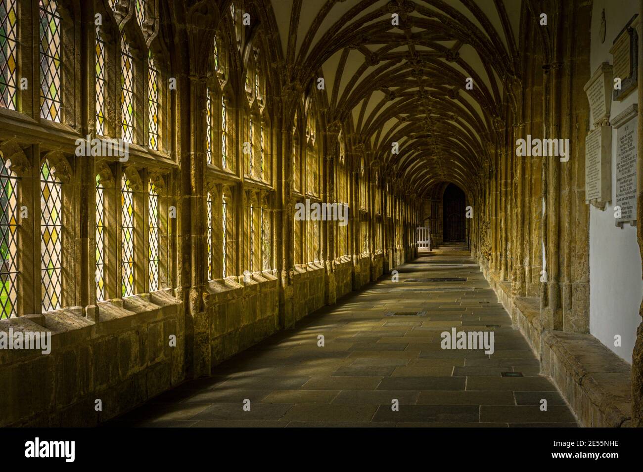 Wells cathedral vaulted ceiling hi-res stock photography and images - Alamy