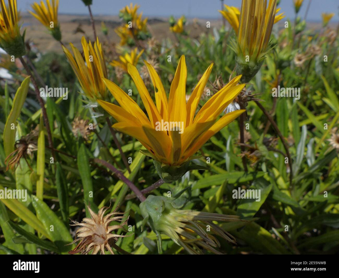 Aljustrel hi-res stock photography and images - Alamy