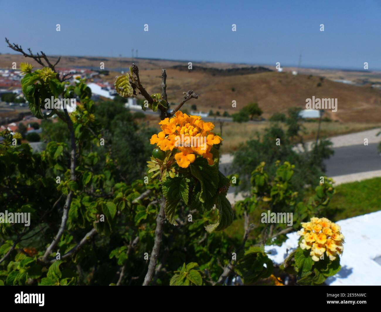 Aljustrel hi-res stock photography and images - Alamy