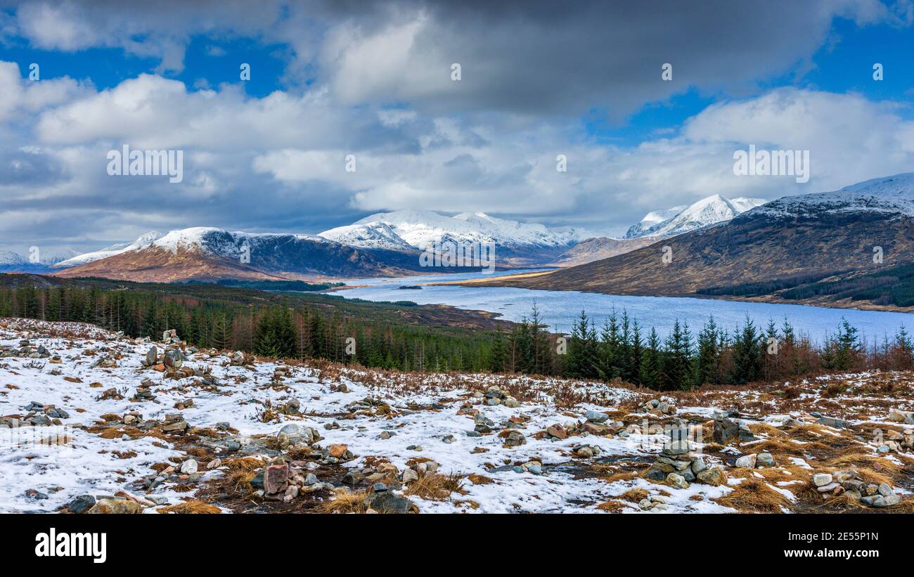 Scottish forestry hi-res stock photography and images - Alamy