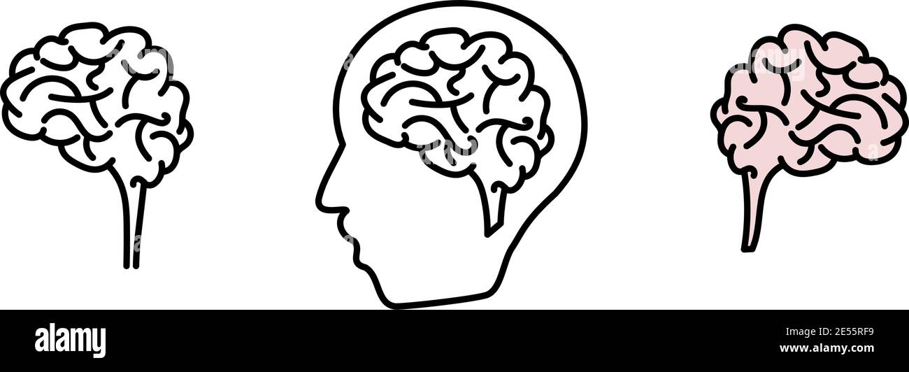 Side view of human brain Stock Vector Images - Alamy