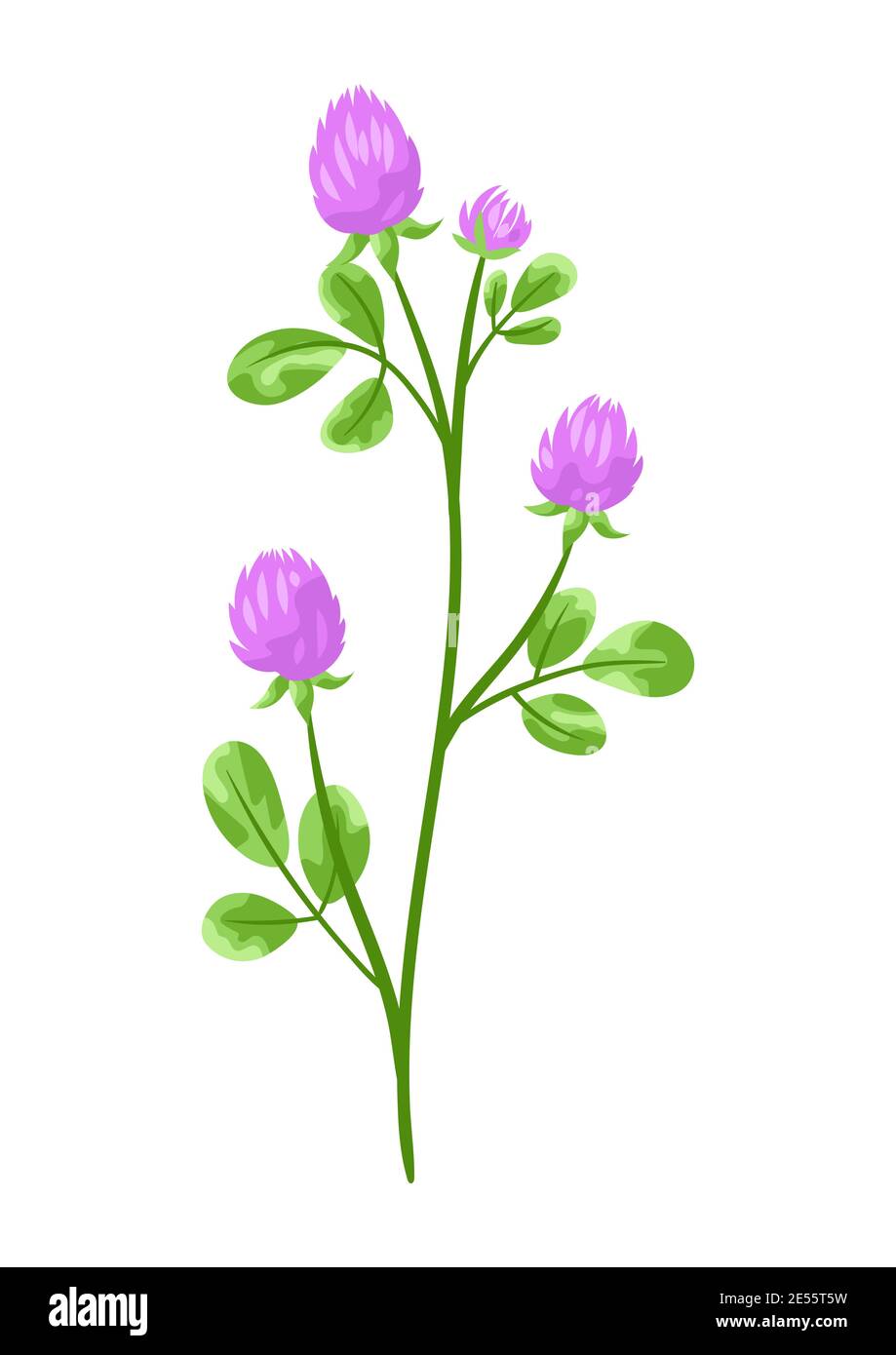 Illustration of stylized clover Stock Vector Image & Art - Alamy