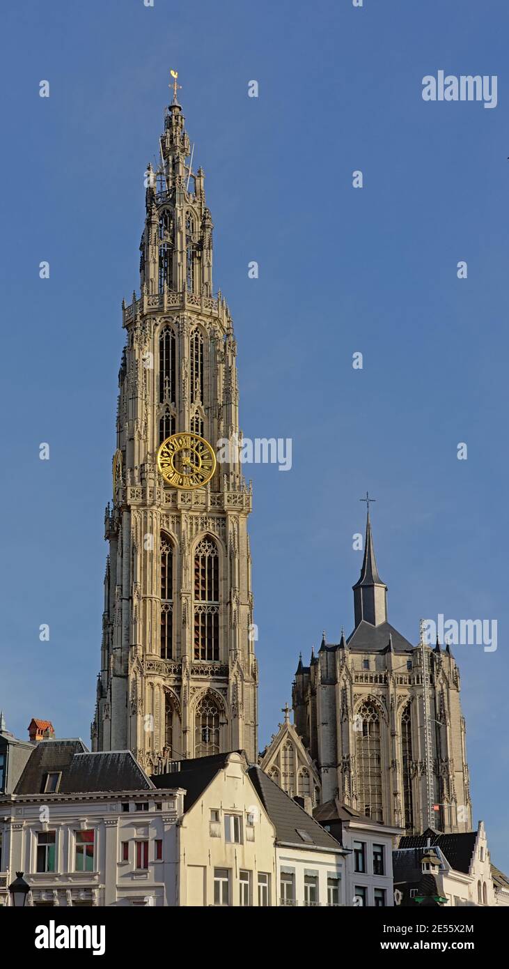Gothic tower of the roman catholic cathedral of Our Lady, Antwerp ...