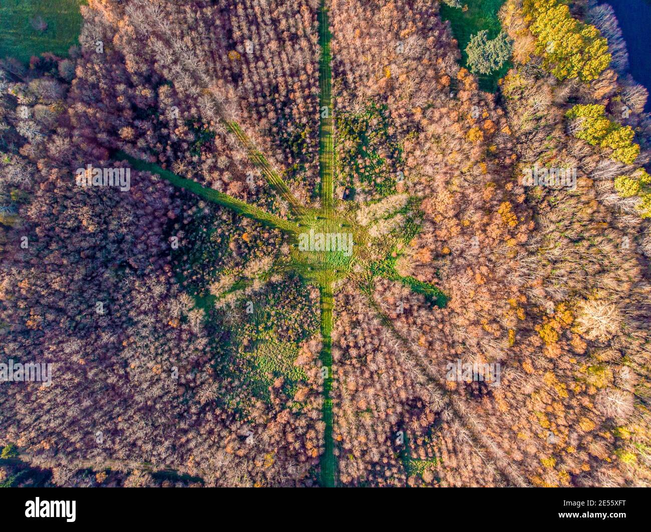 Drone Photo of the Crossroad Between Trees in Colorful forest in ...