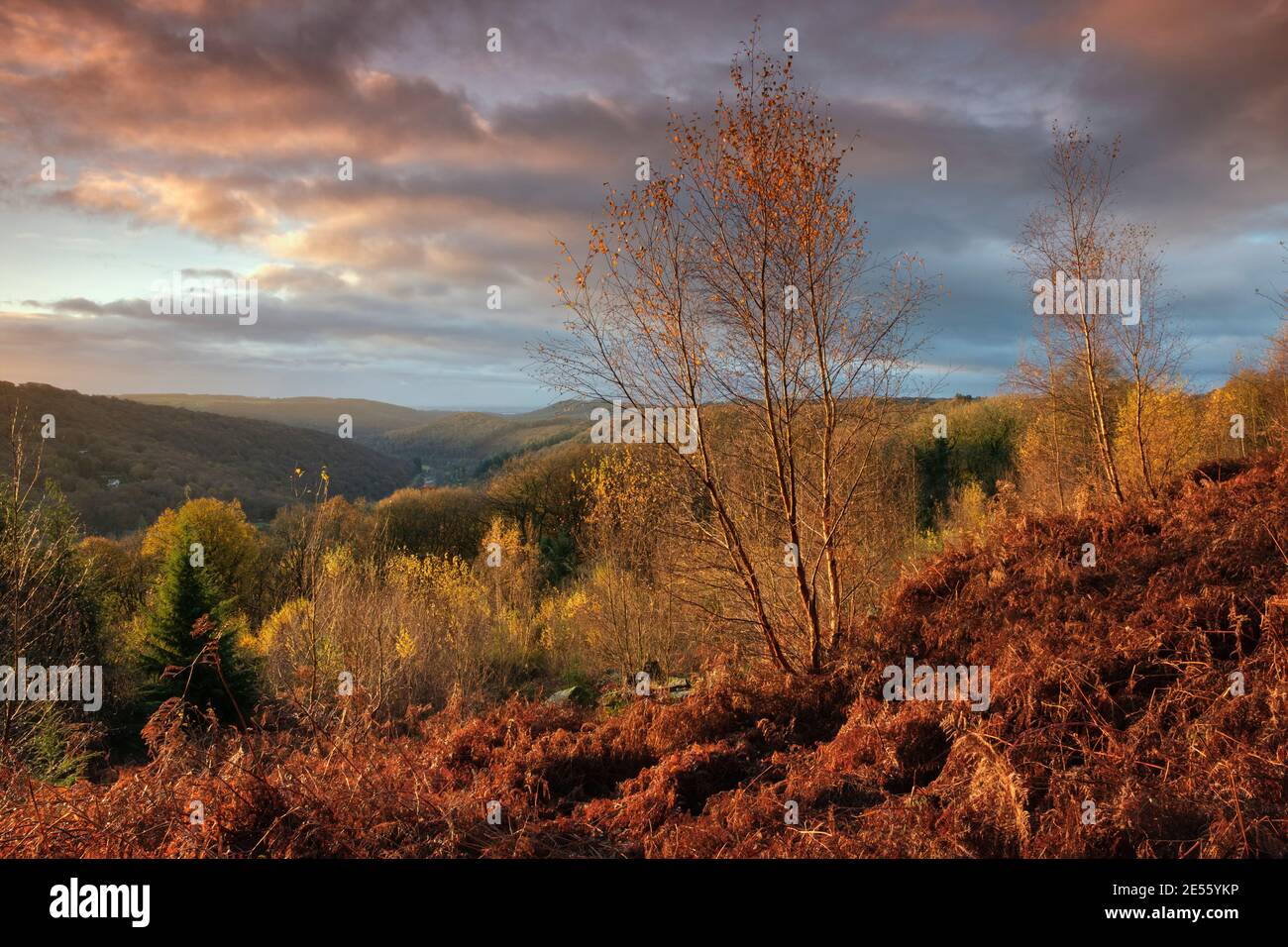 Trellech wales hi-res stock photography and images - Alamy