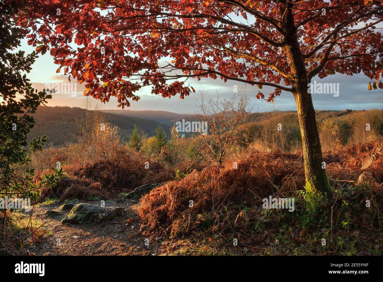 Trellech wales hi-res stock photography and images - Alamy