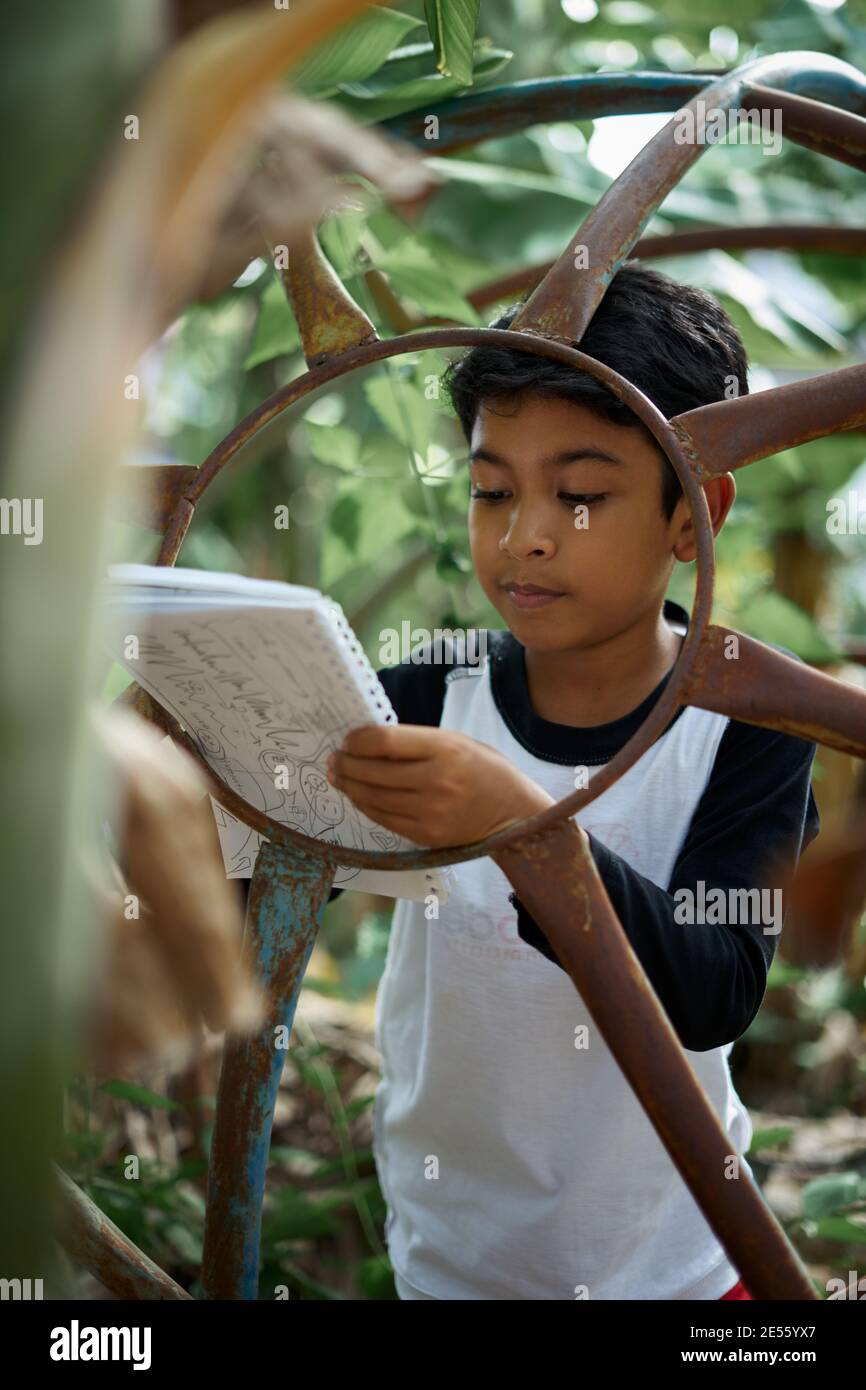 Studying Under Tree High Resolution Stock Photography and Images - Alamy