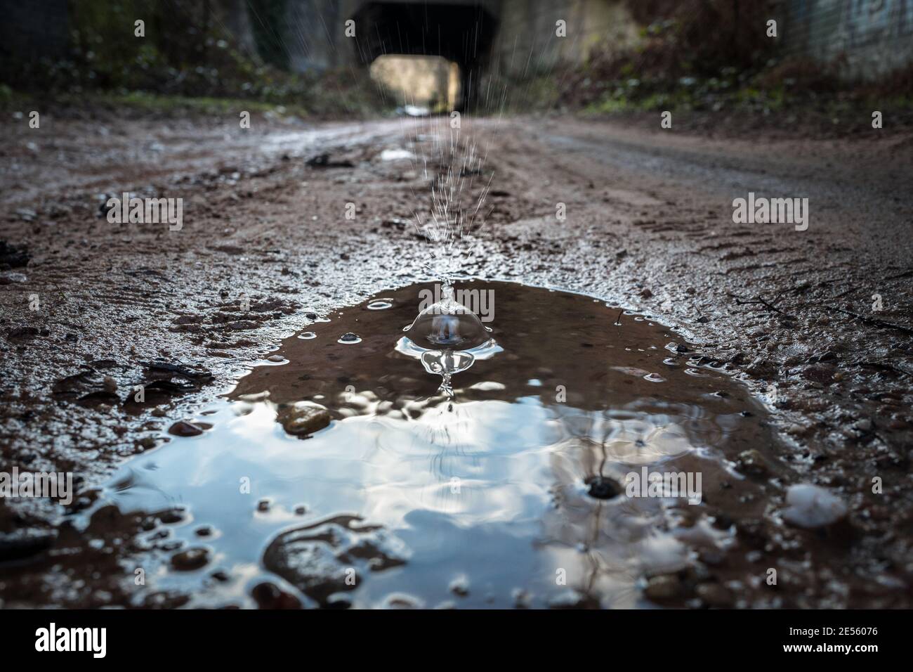 Small Puddle Of Water