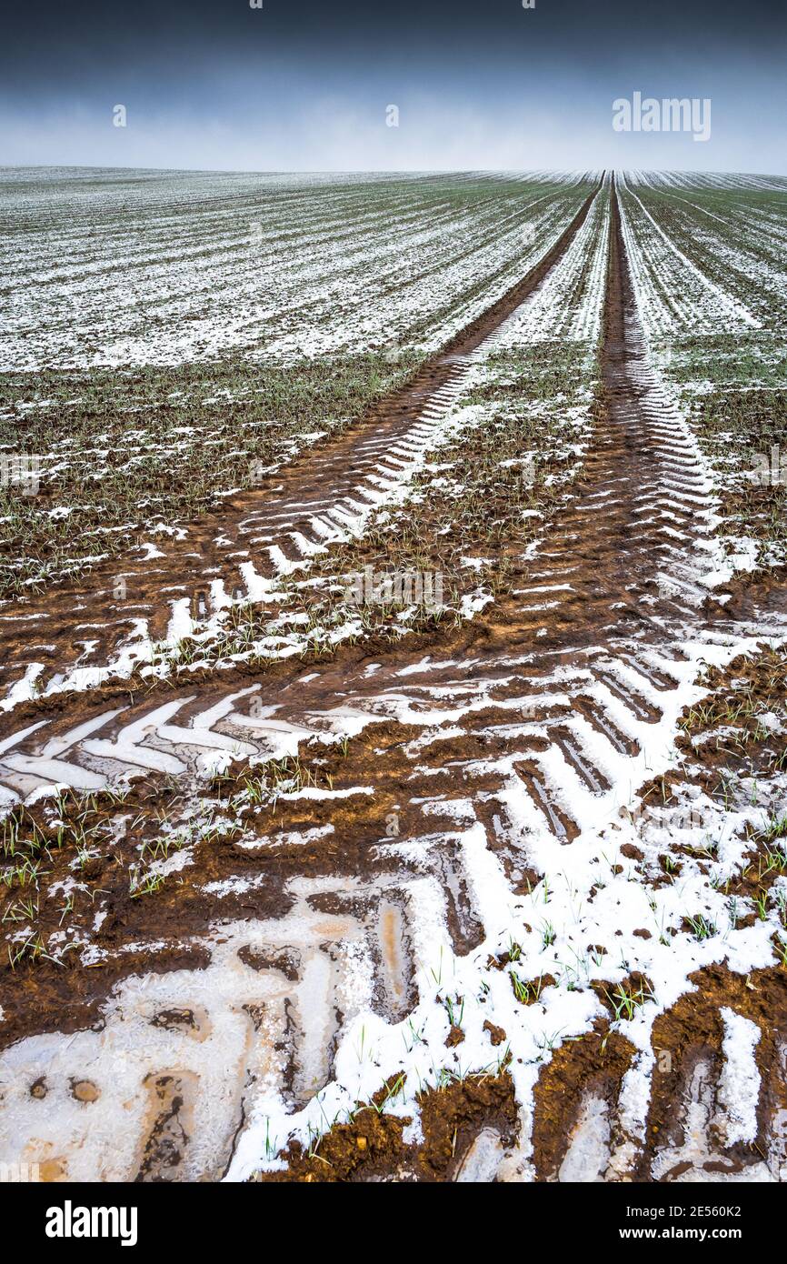 Thin layer of snow hi-res stock photography and images - Alamy