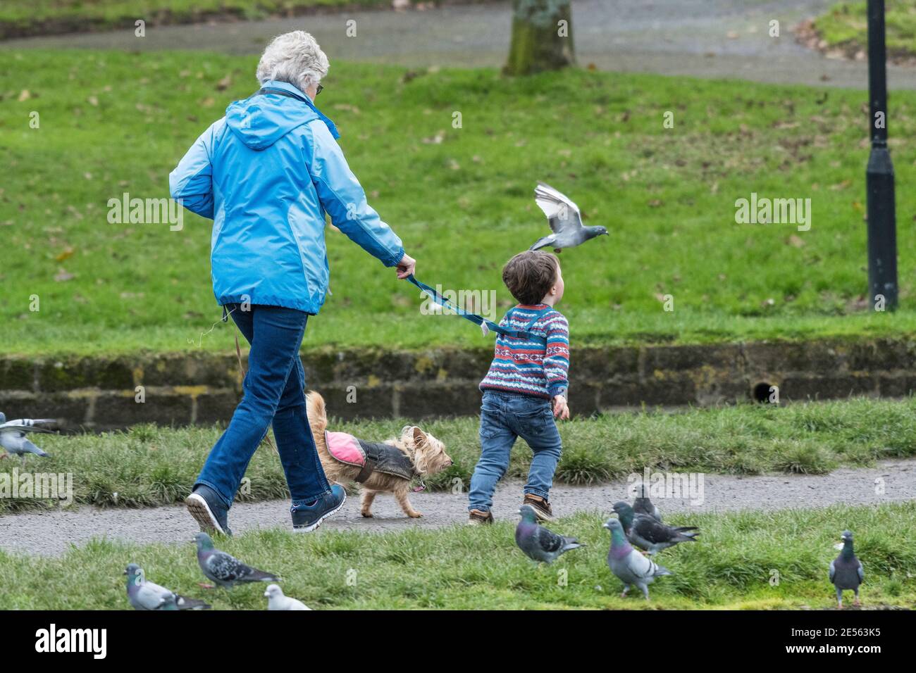 Grandson granny hi-res stock photography and images - Alamy