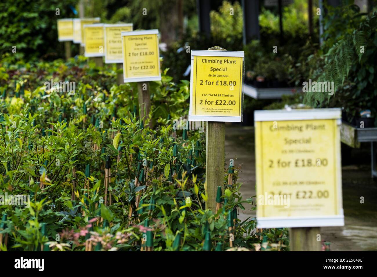Nursery Garden Store Signs