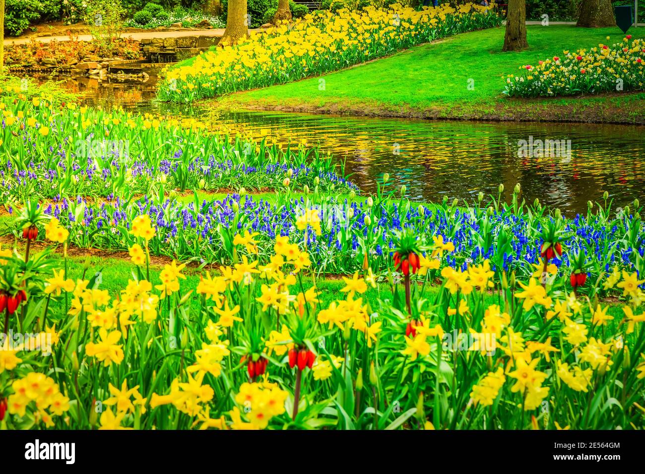 Spring pond lane hi-res stock photography and images - Alamy
