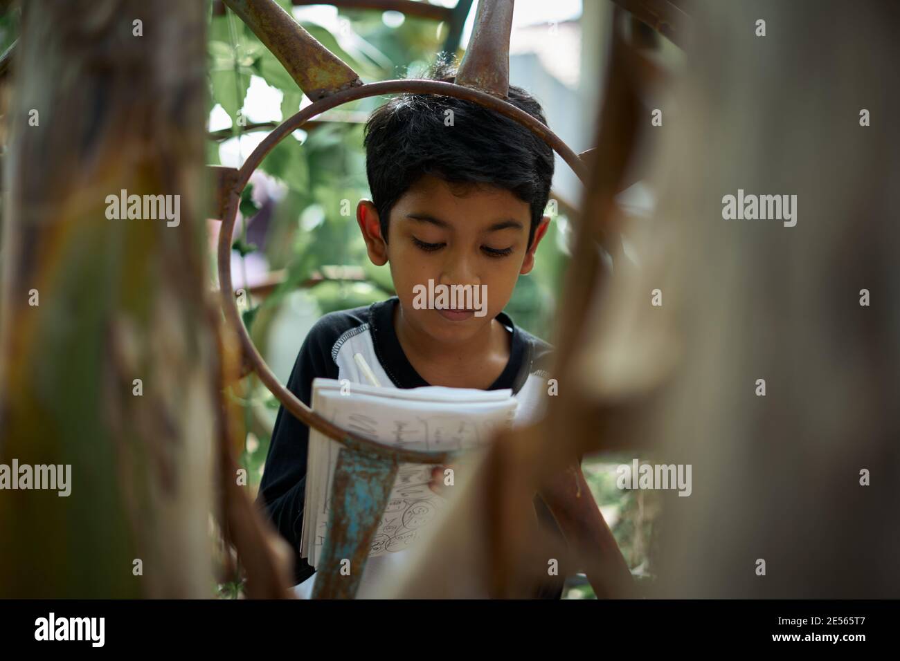 Young boy studying and doing homework under tree in natural park Stock ...