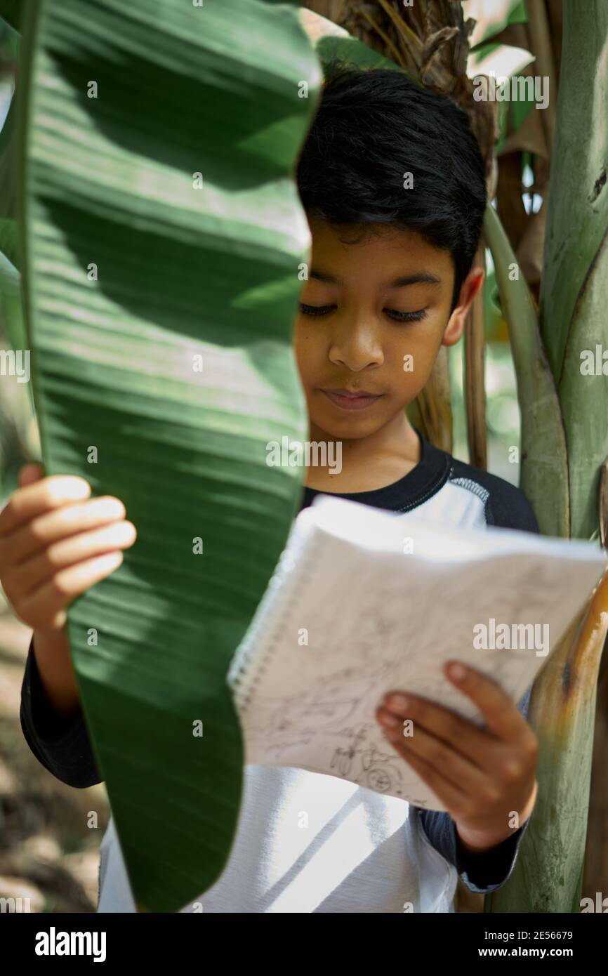 Young boy studying and doing homework under tree in natural park Stock ...