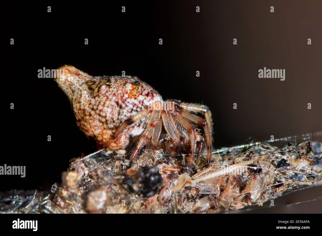 Past victims hi-res stock photography and images - Alamy