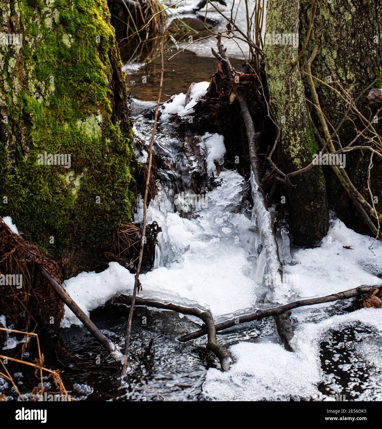 Strumyk hi-res stock photography and images - Alamy