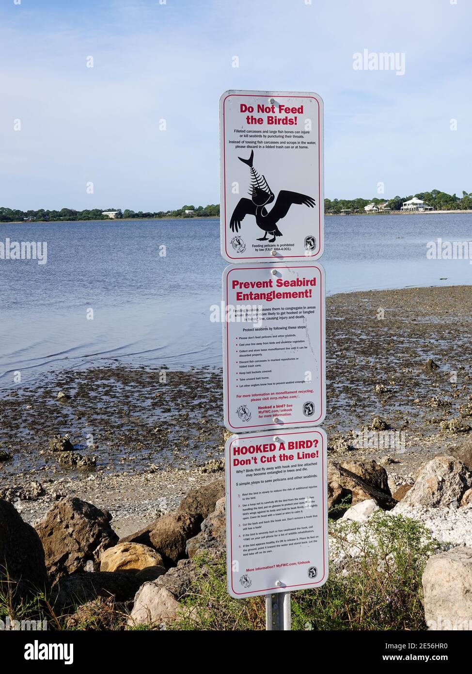 Prevent seagull entanglement and do not feed the birds signs posted on ...