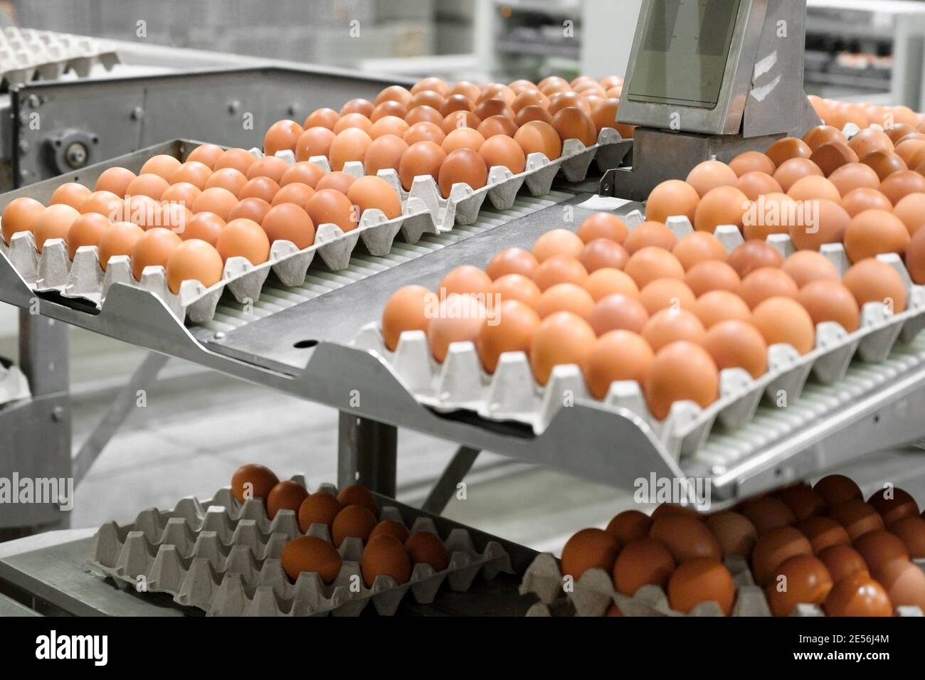 Quality control factory food selection hi-res stock photography and ...