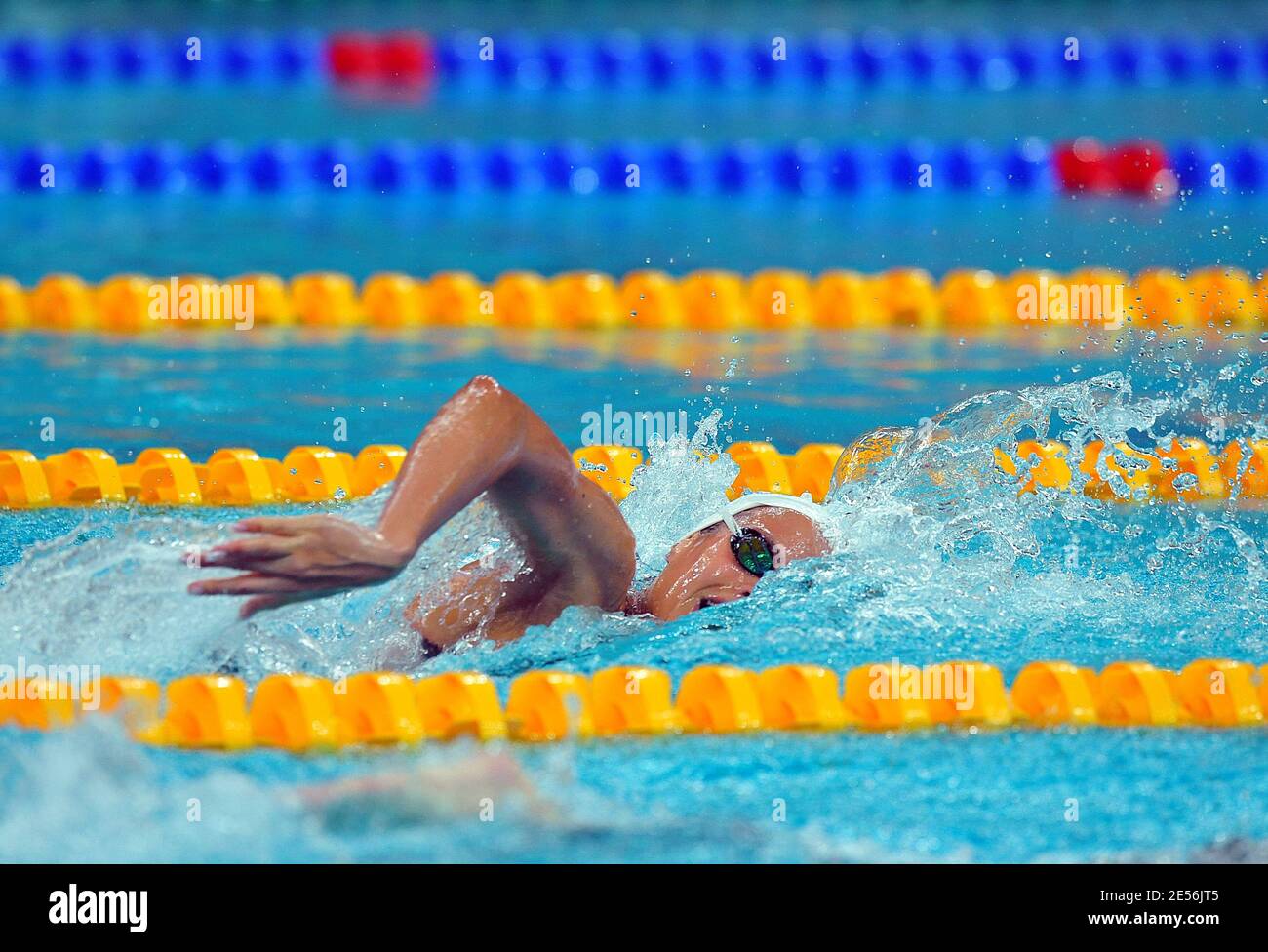 Speedo swimsuit hi-res stock photography and images - Alamy
