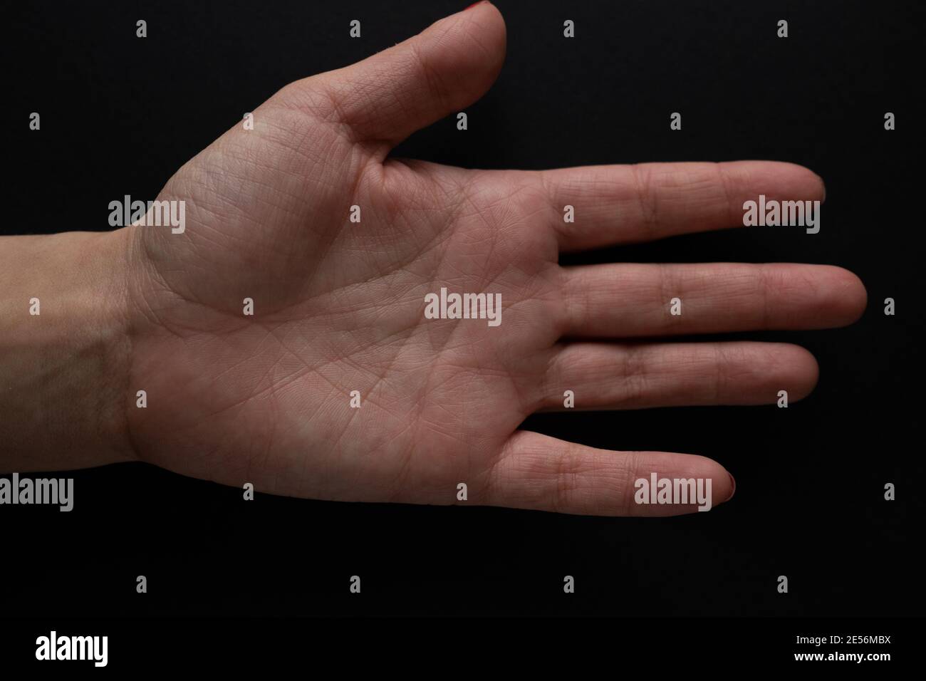 Life line palm reading hi-res stock photography and images - Alamy