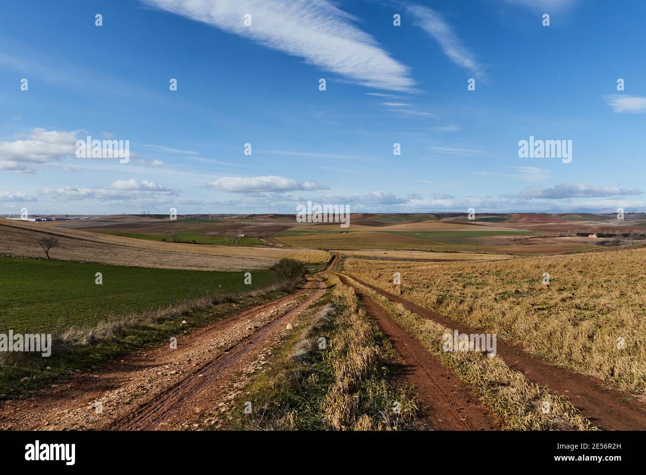 Rural road in farmland Stock Photo - Alamy