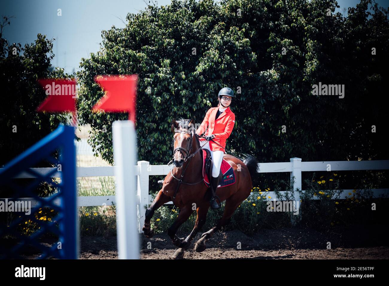 Baron maya hi-res stock photography and images - Alamy