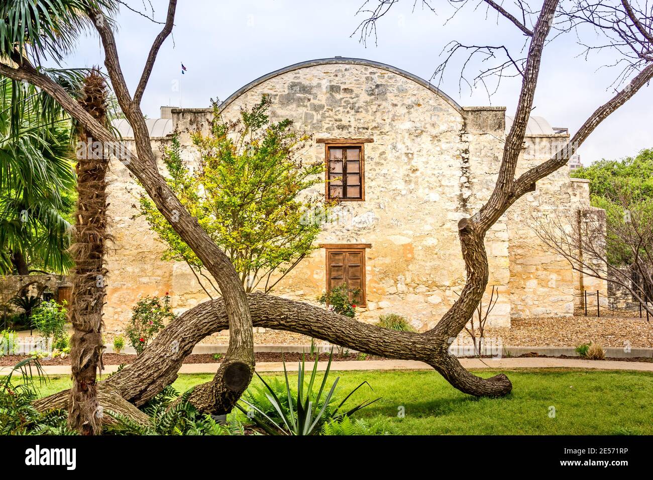 Backside of the Alamo in San Antonio, Texas Stock Photo - Alamy