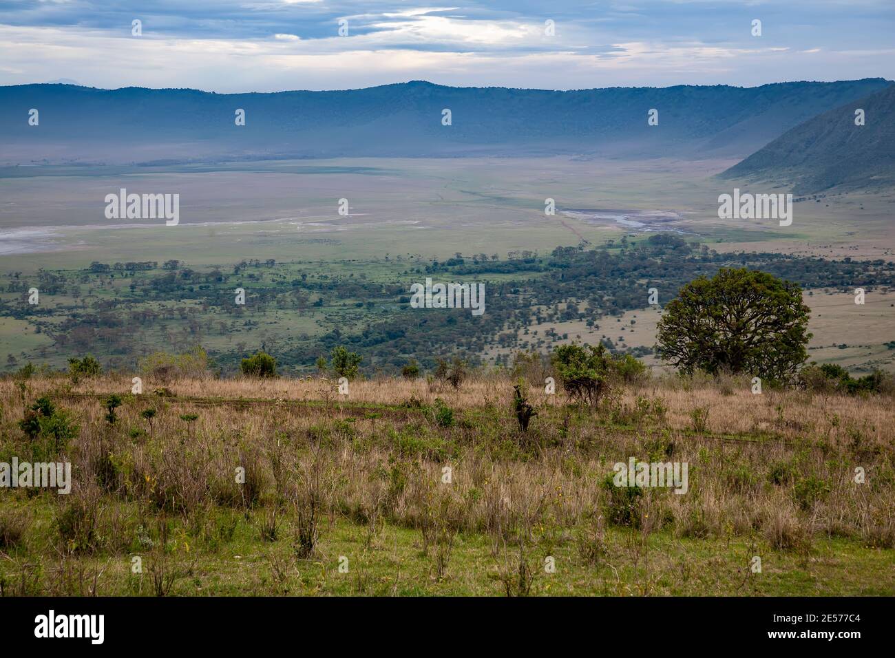 A view of the vast, volcanic Ngorongoro Crater in the Ngorongoro ...