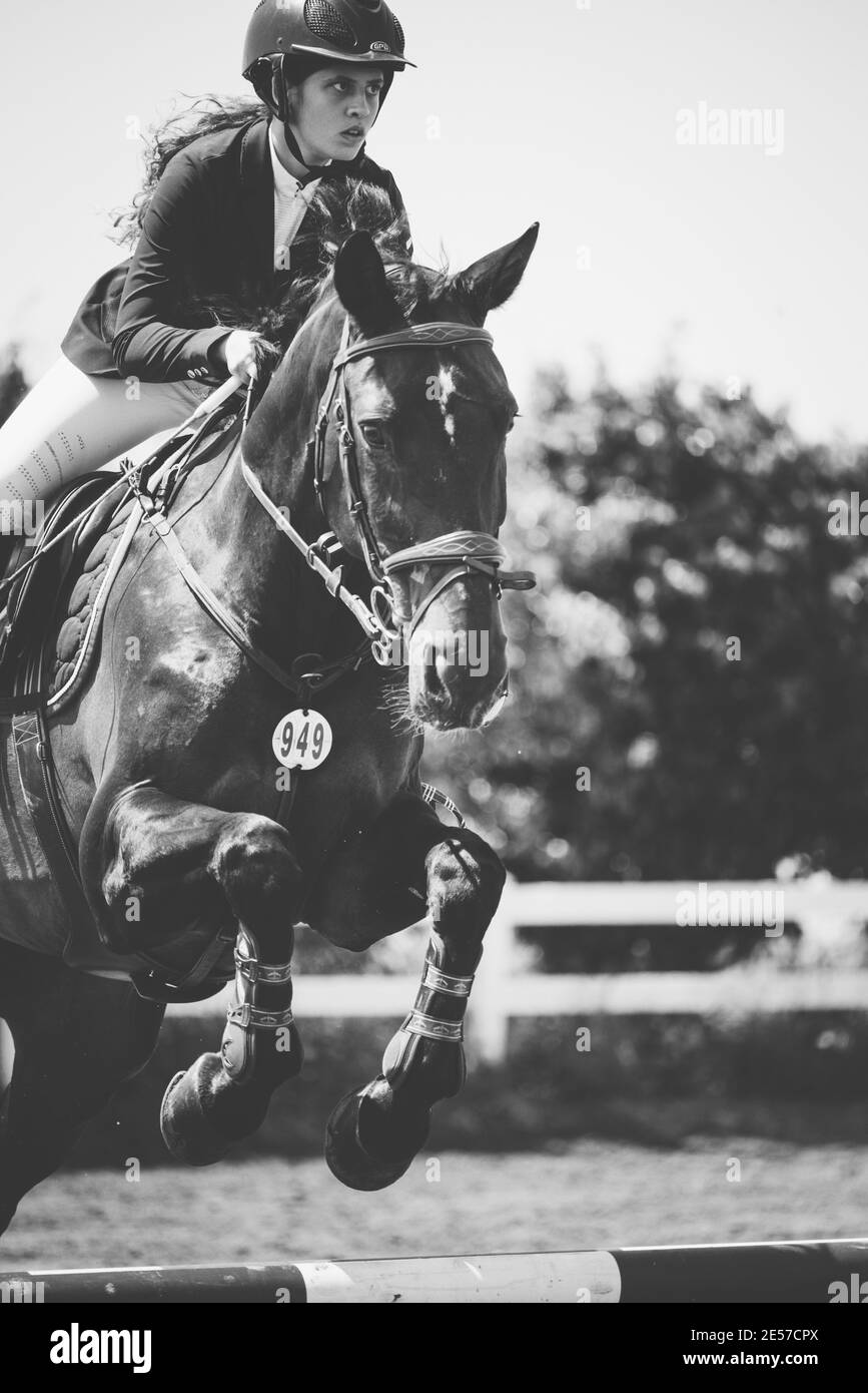 Jockey jumping sport Black and White Stock Photos & Images - Alamy