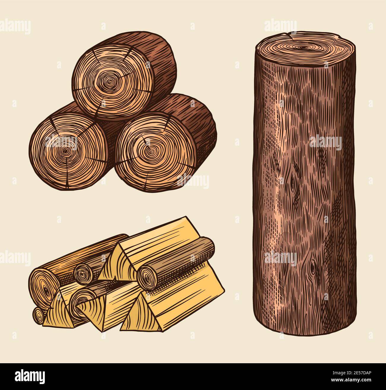 Wood set. Planks and logs, lumber and Cuts, Firewood in vintage style ...