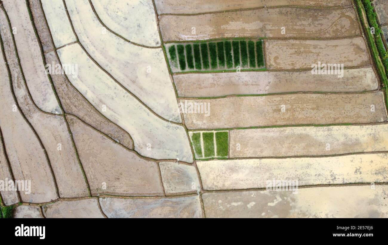 Aerial Shot Of A Beautiful Field Filled With Water. A Newly Planted Big ...