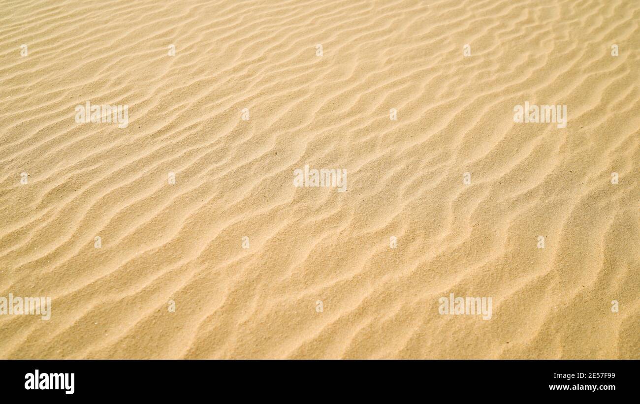sand ripples in the desert, sand background, travel and vacation ...