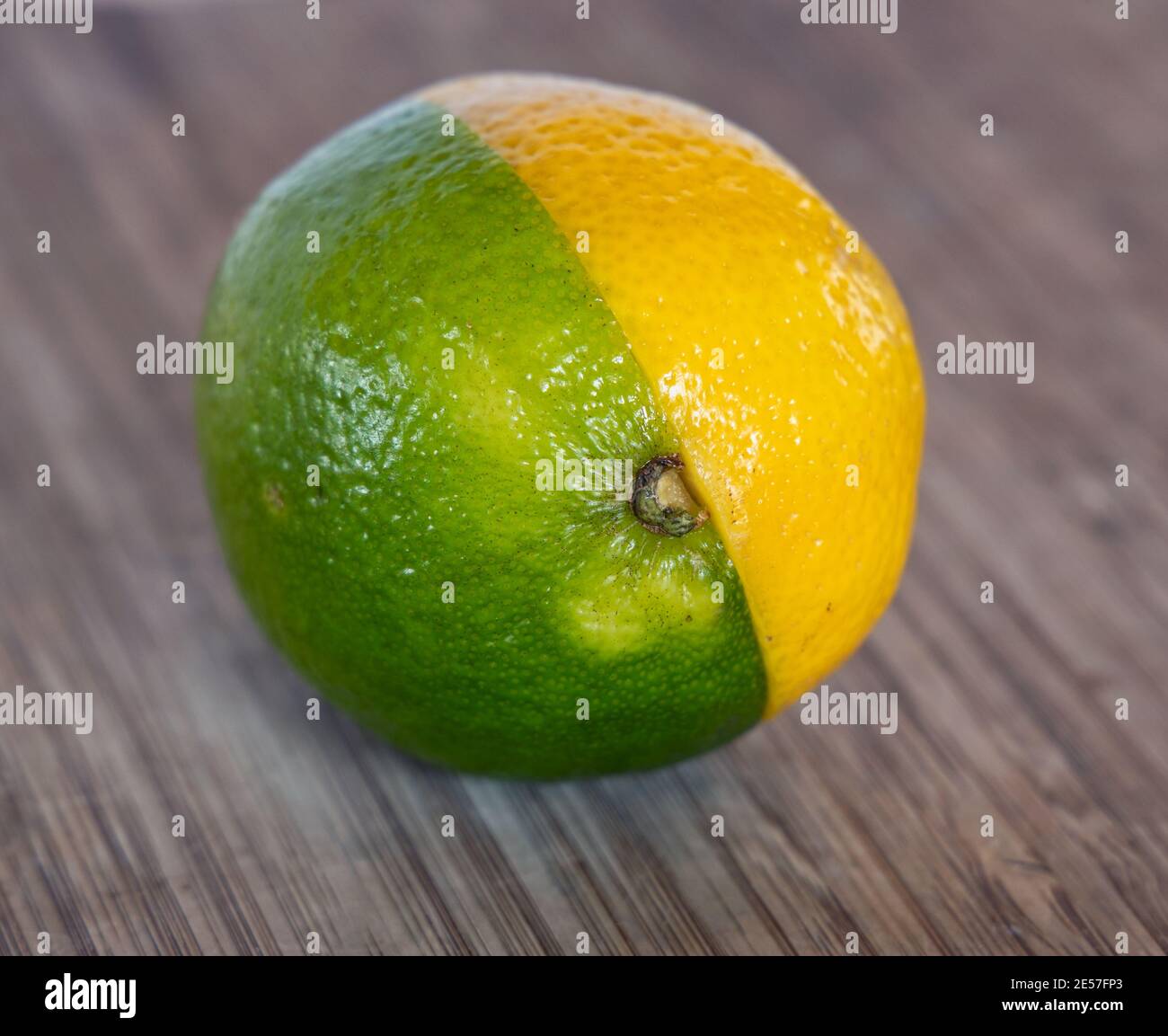 Fused together hi-res stock photography and images - Alamy